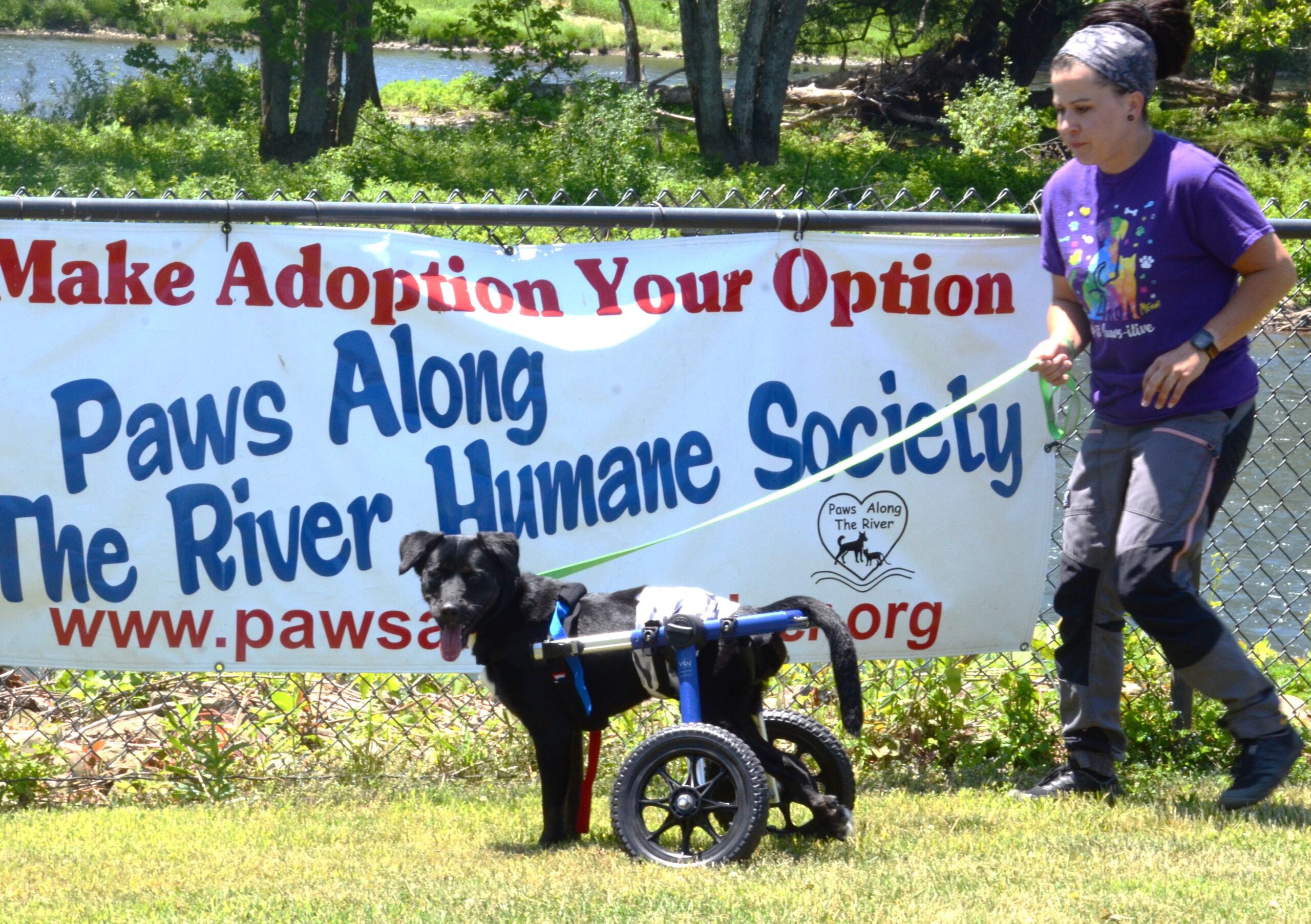 Humane Society eyes homes for shelter full of animals | News, Sports ...